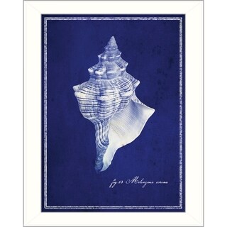 GI Artlab 'Conch Shell' Framed Wall Art - Bed Bath & Beyond - 8829776