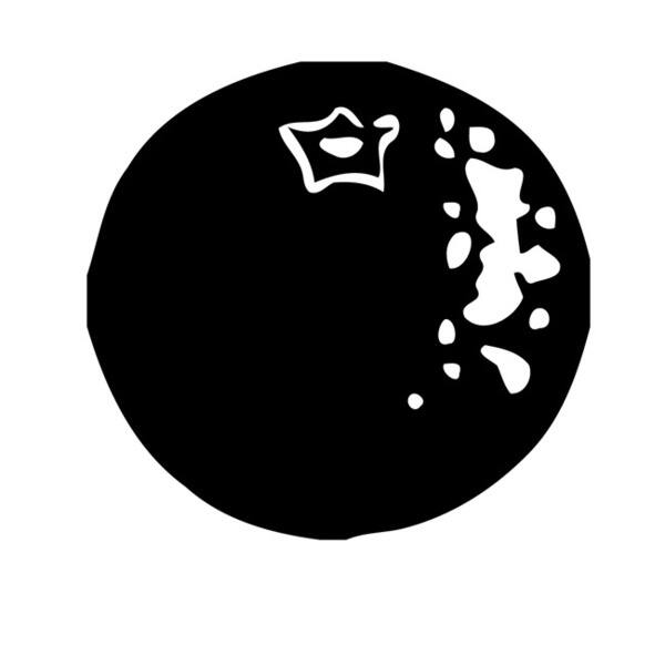 Orange Citrus Vinyl Wall Decal - Bed Bath & Beyond - 8830060