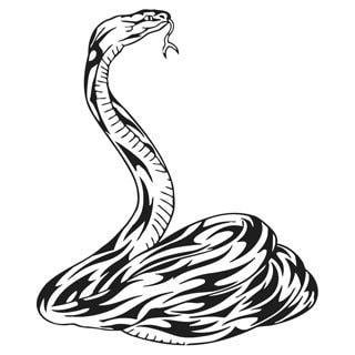 Coiled Cobra Vinyl Wall Decal - Bed Bath & Beyond - 8949981