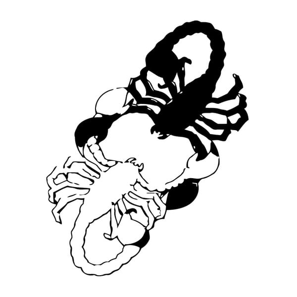 Two Tribal Scorpions Black/ White Wall Art Decal - Bed Bath & Beyond ...