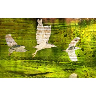 Marmont Hill Art Collective 'Flock of Three' Canvas Art - Multi-Color ...