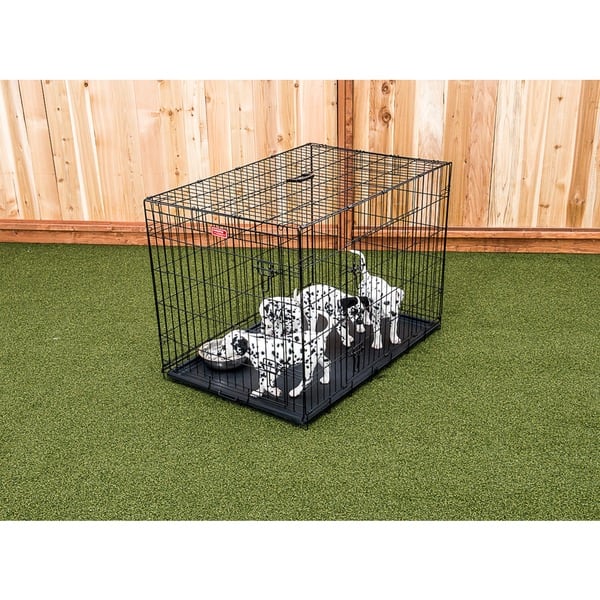 Lucky Dog 2-door Black Wire Pet Crate - Bed Bath & Beyond - 9063535