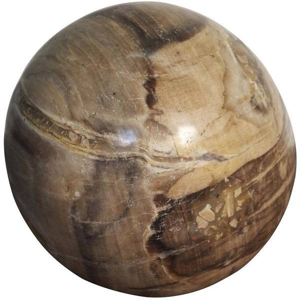 Decorative Fossil Inspired Ball - Bed Bath & Beyond - 9369125