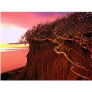 Dean Uhlinger 'Ponto Beach Afterglow' Unwrapped Canvas - Multi - Bed ...