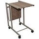 Zebra Laptop Cart - Bed Bath & Beyond - 9564569