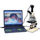 AmScope 40x-800x Biological 2-view Compound Microscope with Mechanical ...