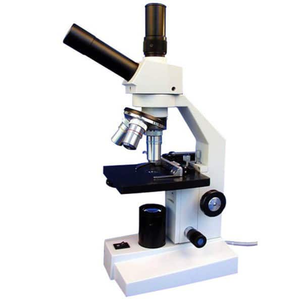 AmScope 40x-800x Biological 2-view Compound Microscope with Mechanical ...