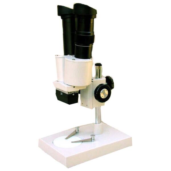 AmScope 20x Kids Metal Frame Binocular Stereo Microscope - Bed Bath ...