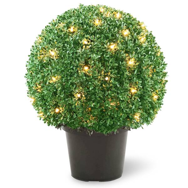 22-inch Mini Boxwood Ball Shaped Topiary Tree in Round Green Growers ...