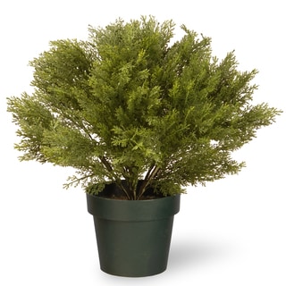 20-inch Faux Globe Juniper in Green Pot - Bed Bath & Beyond - 9769499