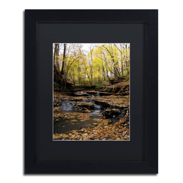 Kurt Shaffer 'Lakeview Autumn Falls #3' Framed Matted Art - Bed Bath ...