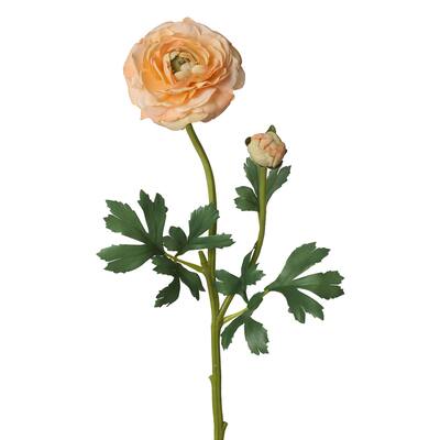 26-inch Ranunculus Stem (Pack of 12) - Overstock - 9822108