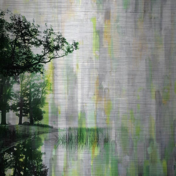 Parvez Taj 'Trees of Green' Canvas Art - Bed Bath & Beyond - 9918361