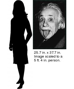 'Albert Einstein - Funny Face' Framed PosterZ - Bed Bath & Beyond - 2886099