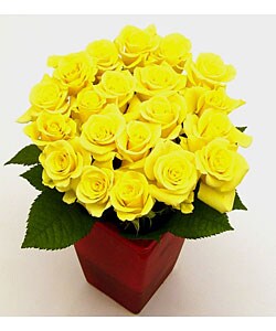 Yellow Sweetheart Roses (Case of 20) - Bed Bath & Beyond - 2605031