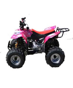 ATV 110cc Predator Automatic Transmission - Bed Bath & Beyond - 2675531