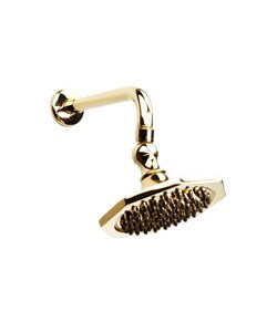 Pegasus Polished Brass Octagon Showerhead and Arm - Bed Bath & Beyond ...