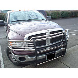 Dodge Ram 1500/2500/3500 Front Grille Guard - Bed Bath & Beyond - 3586861