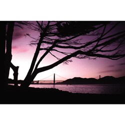 Jessica Nicosia-Nadler 'Golden Gate' Canvas Art - Bed Bath & Beyond ...