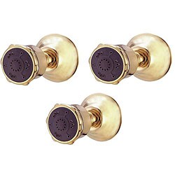 Danze D460160PBV Polished Brass Wall-mount Body Sprayer (Set of 3 ...