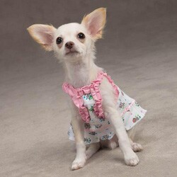 My Baby Pet Dog Dress - Bed Bath & Beyond - 4328794