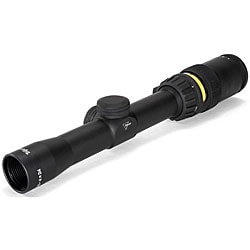 Trijicon AccuPoint 1.25-4x24 Amber Triangle Reticle Rifle Scope - Bed ...