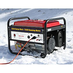 Buffalo Tools 3250 W Generator - Bed Bath & Beyond - 5992192