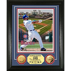 Darwin Barney Gold Coin Photo Mint - Bed Bath & Beyond - 6635061