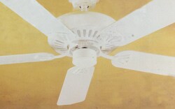 Honeywell Nantucket Ceiling Fan - Bed Bath & Beyond - 26844