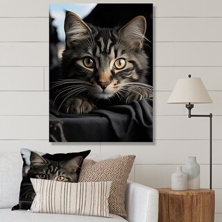 Designart "Cat Portrait IV" Animals Cat Canvas Wall Art - Bed Bath ...