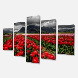 Designart "Rows of Bright Ruby Red Tulips" Landscape Wall Art Print ...