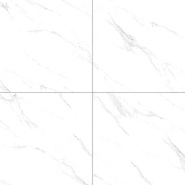 The Tile Life Monarch 24 x 24 Polished Porcelain Floor and Wall Tile ...