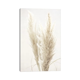 iCanvas "Pampas Reed II" by Monika Strigel Canvas Print - Bed Bath ...
