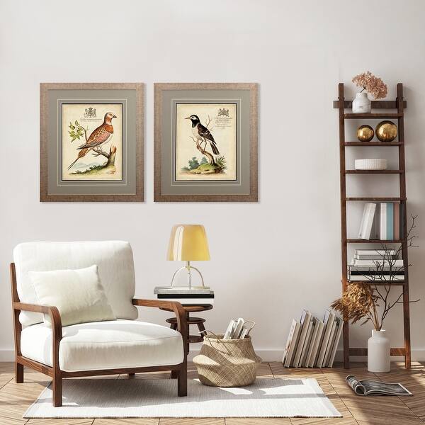 Propac Images Regal Birds A Set of 2 Wall Art - Brown - Bed Bath ...