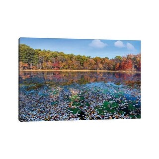 iCanvas "Fallen Leaves On Lake, Daingerfield State Park, Texas" by Tim ...