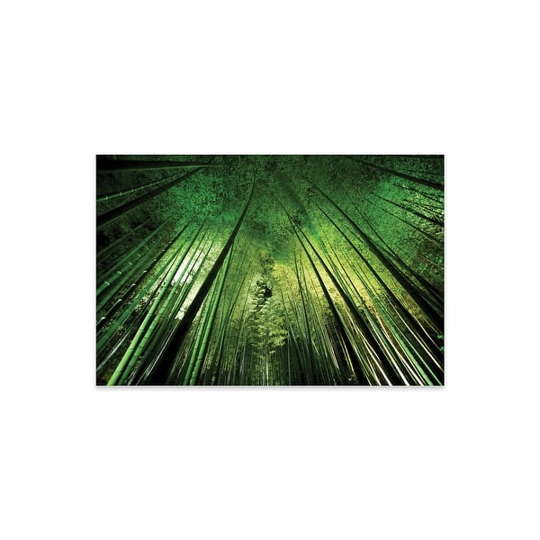 Bamboo Night Print On Acrylic Glass by Takeshi Marumoto - Bed Bath ...