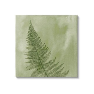 Stupell Modern Fern Nature Plant Canvas Wall Art by Ziwei Li - Bed Bath ...