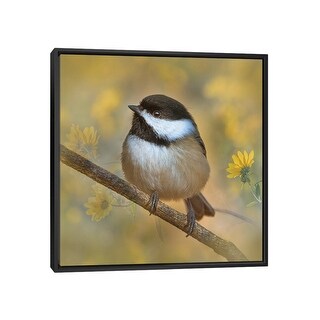 iCanvas "In A Summer Dream Black-Capped Chickadee" by Sandra Rust ...