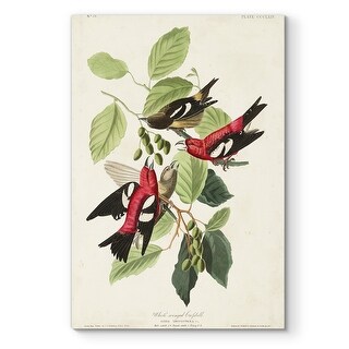 Pl 364 White-winged Crossbill -Premium Gallery Wrapped Canvas - Bed ...