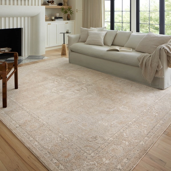 Alexander Home Colette Vintage Shabby Chic Area Rug - Bed Bath & Beyond ...
