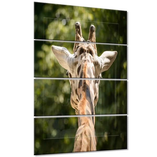 giraffe heads for wall