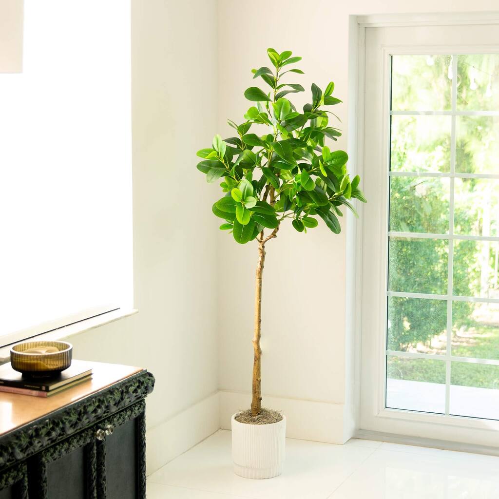 Audrey Ficus Artificial Potted Tree - 6' - Unlit - Overstock - 42755353