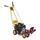 McLane 101-4.75GT-7 9 Inch Gas Walk Behind Lawn Edger, 5.50 Gross ...