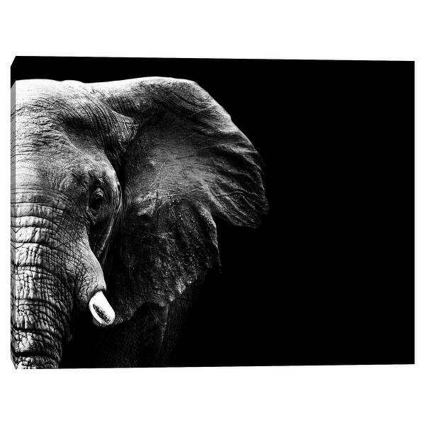 Goliath by Belle Maison Canvas Art Print - Bed Bath & Beyond - 32576180