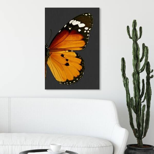 Oliver Gal 'Monarch and Gray Butterfly II' Animals Wall Art Canvas ...