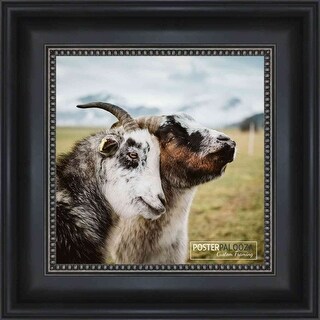 17x17 Traditional Black Complete Wood Square Picture Frame with UV ...