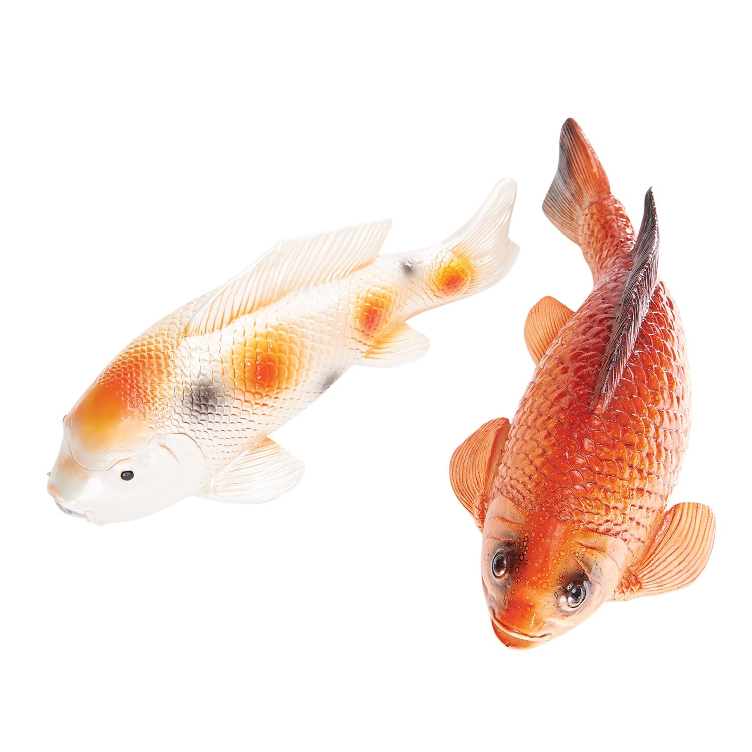 realistic koi