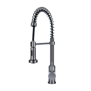 Residential Spring Kitchen Faucet with Flat Sprayer in Pewter - Bed ...