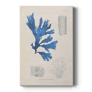 Blue Marine Algae VIII Premium Gallery Wrapped Canvas - Ready to Hang ...