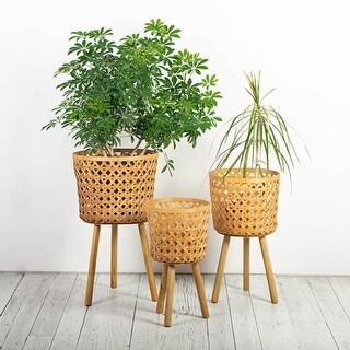 Set Of 3 Natural Bamboo On Wooden Legs Plant Stand - Bed Bath & Beyond ...